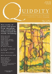 New Poems: Quiddity | Caitlin Dwyer